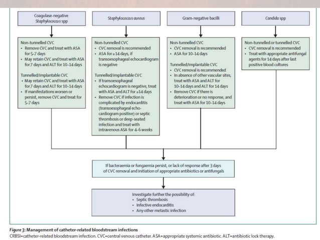 Central Line Associated Blood Stream Infections( CLABSI) | PPTX