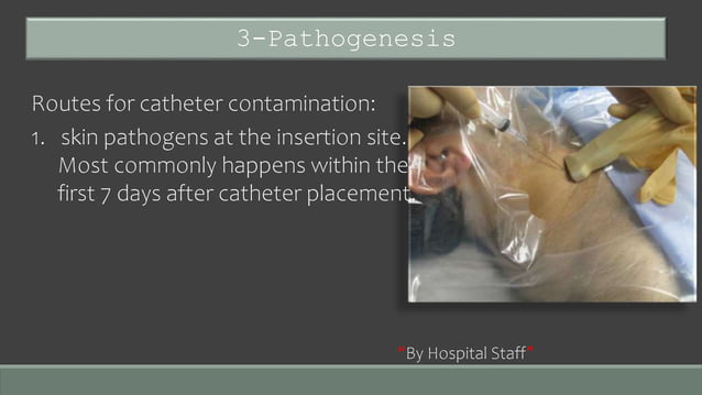 Prevention of Central Line–Associated Bloodstream Infections (CLABSI ...