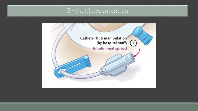 Prevention of Central Line–Associated Bloodstream Infections (CLABSI ...