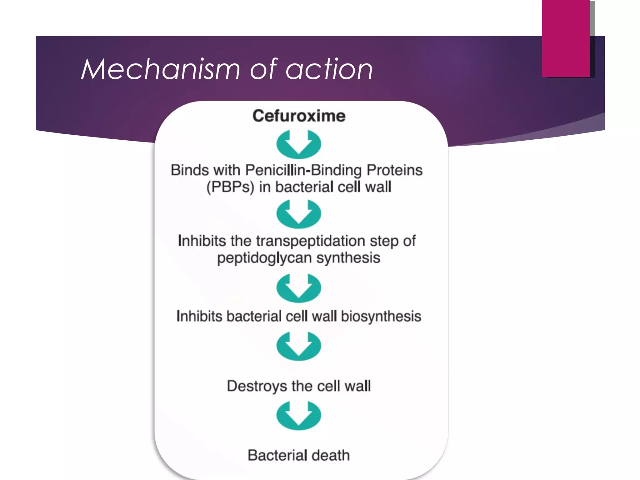 Clacef( cefuroxime + clavulanic acid) presentation | PPT