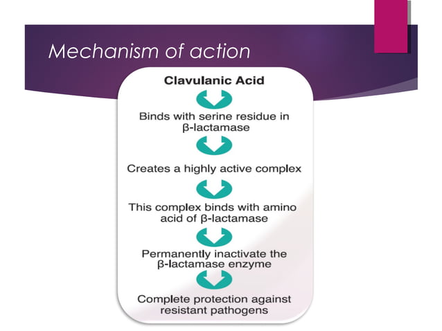 Clacef( cefuroxime + clavulanic acid) presentation | PPT | Infectious ...