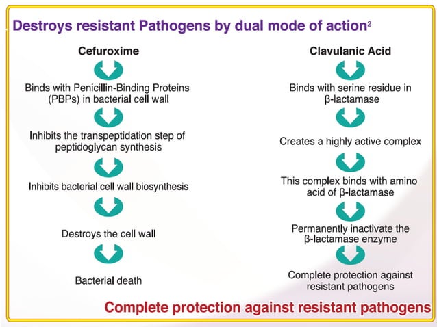 Clacef( cefuroxime + clavulanic acid) presentation | PPT | Infectious ...