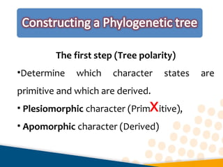 Cladistic analysis (Phylogenetics) | PPT | Biological Sciences | Science