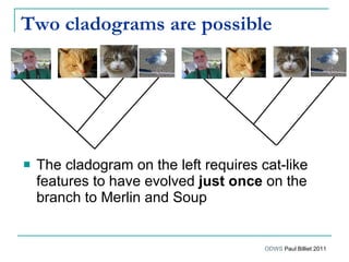 Cladistics | PPT