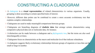 cladistics.pptx