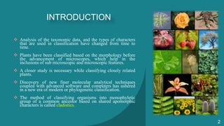 cladistics.pptx