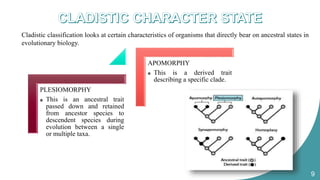 cladistics.pptx