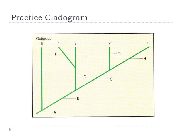 CLADISTICS of Living Organisms and its subgroups | PPT