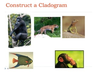 CLADISTICS of Living Organisms and its subgroups | PPT