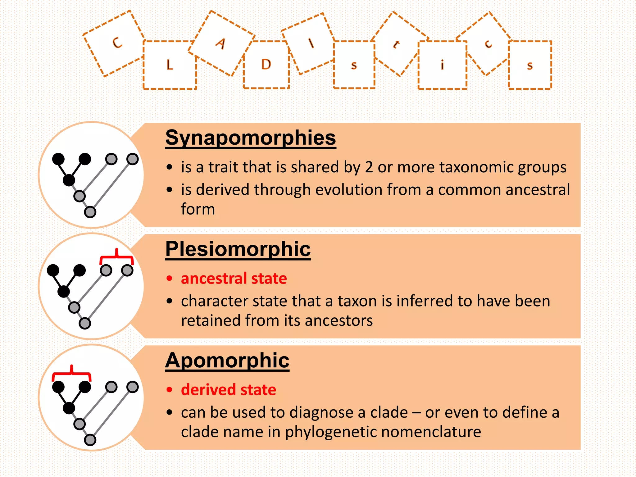 Cladistics - Systematics | PPTX