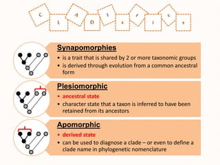 Cladistics - Systematics | PPTX