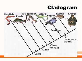 Cladistics