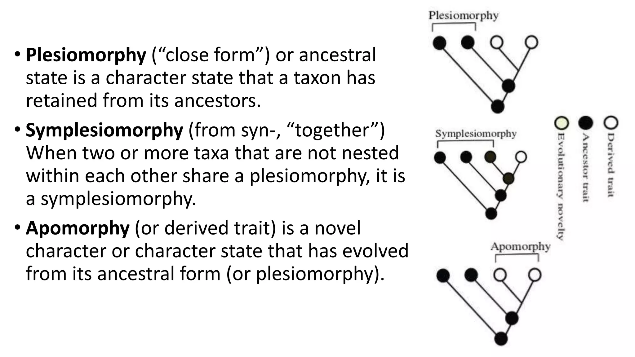 Cladistics | PPTX