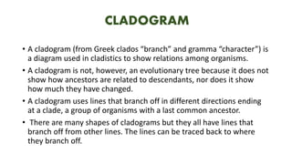 Cladistics | PPTX