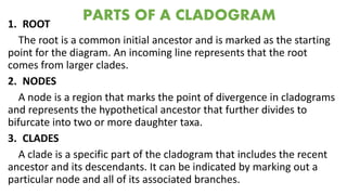 Cladistics | PPTX