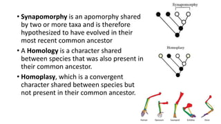 Cladistics | PPTX