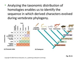 Cladistics For Bb | PPT | Biological Sciences | Science
