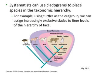 Cladistics For Bb | PPT | Biological Sciences | Science