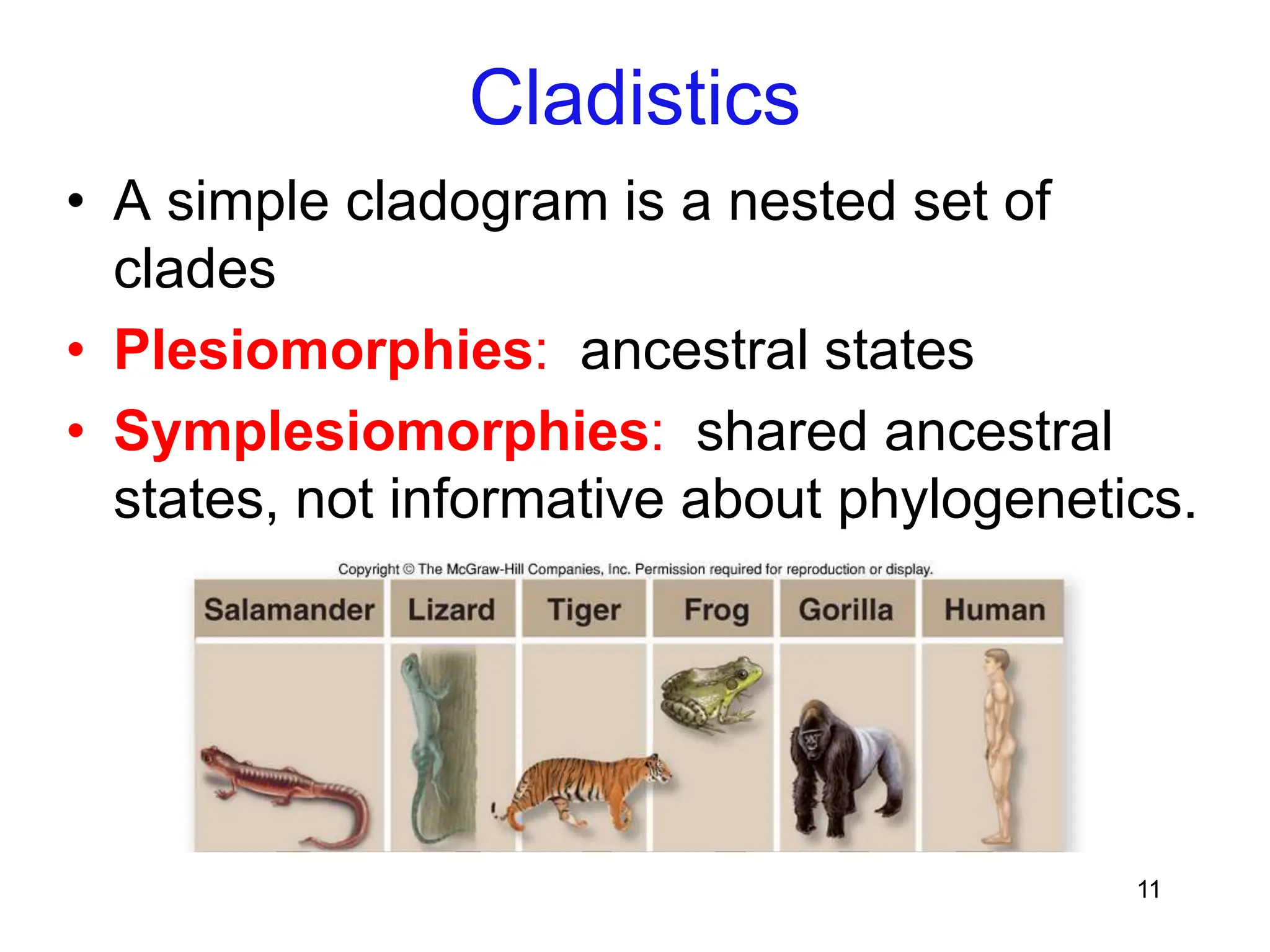 Cladistics in taxonomy.ggggggggddccc@%12367>ppt | PPT