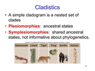 Cladistics in taxonomy.ggggggggddccc@%12367>ppt | PPT
