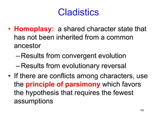 Cladistics in taxonomy.ggggggggddccc@%12367>ppt | PPT
