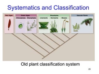 Cladistics in taxonomy.ggggggggddccc@%12367>ppt | PPT