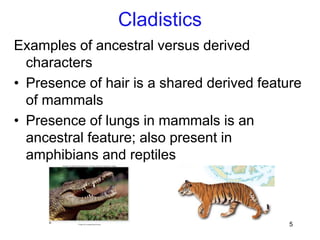 Cladistics in taxonomy.ggggggggddccc@%12367>ppt | PPT