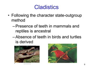 Cladistics in taxonomy.ggggggggddccc@%12367>ppt | PPT