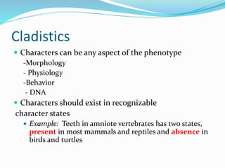 Cladistics philosophy | PPT