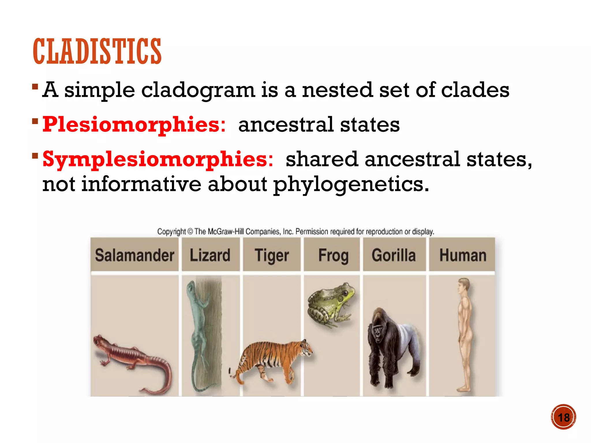Cladistic systematics | PPT