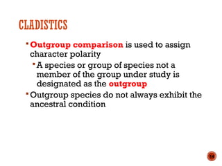 Cladistic systematics | PPT