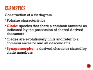Cladistic systematics | PPT