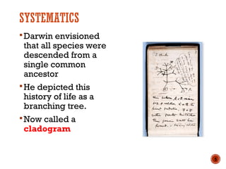 Cladistic systematics | PPT