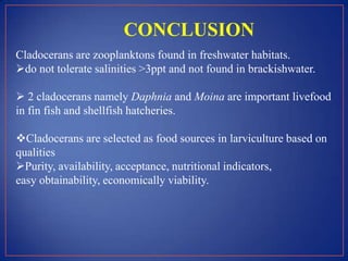 Cladoceran culture | PPTX