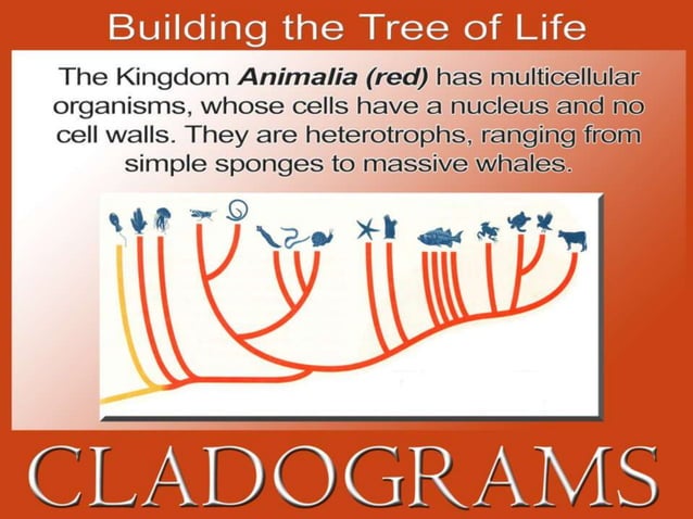 Cladogram | PPTX
