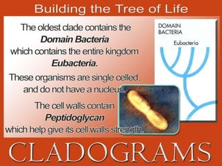 Cladogram | PPTX