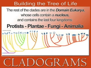 Cladogram | PPTX