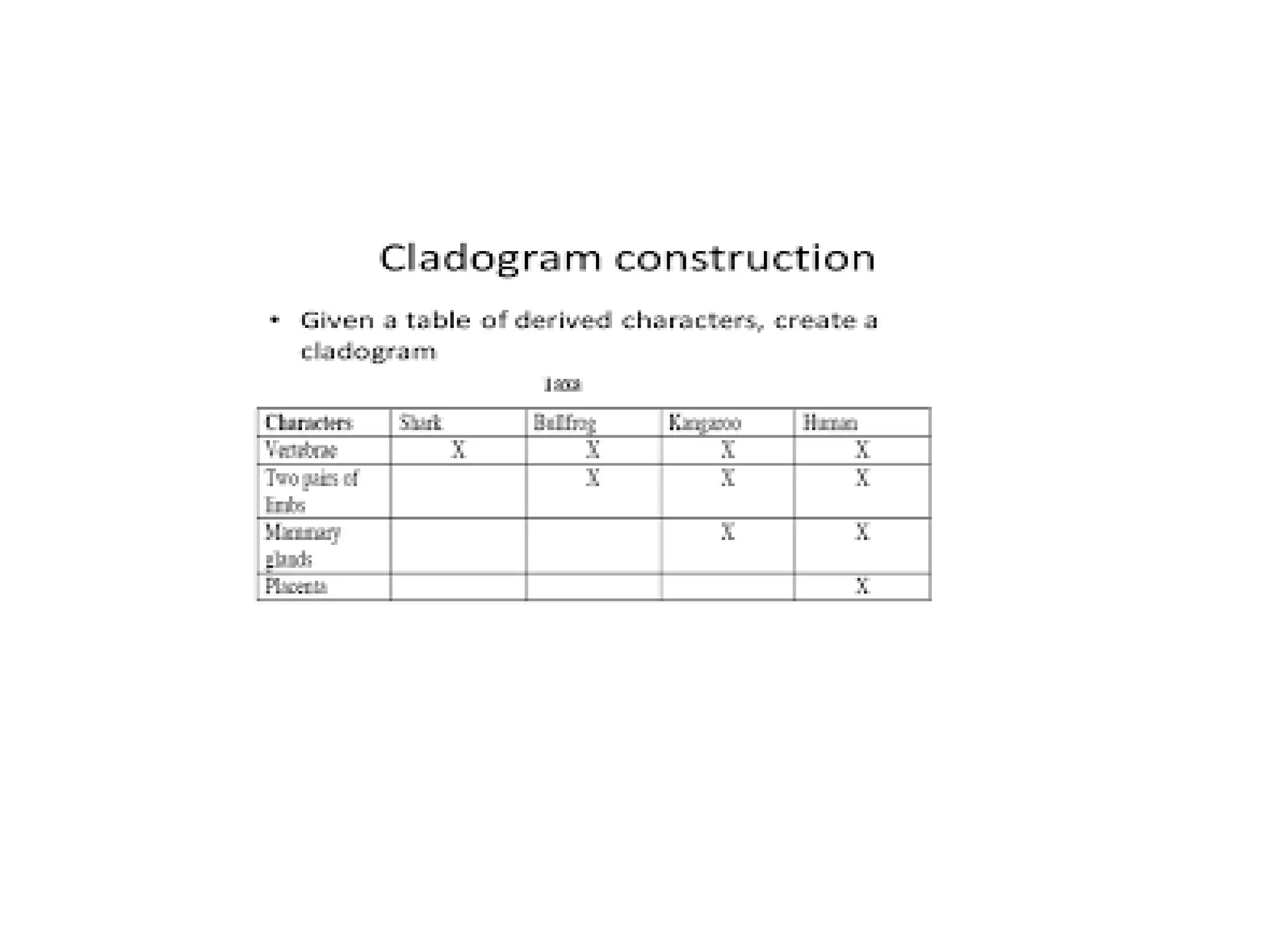 Cladogram.pptx