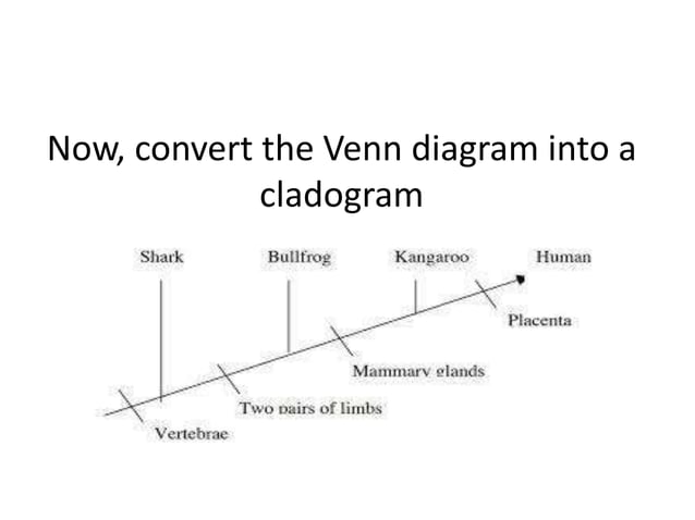 Cladogram.pptx | Biological Sciences | Science