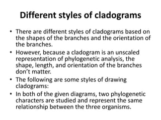Cladogram.pptx