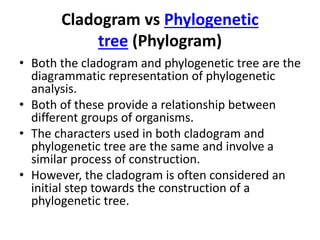 Cladogram.pptx