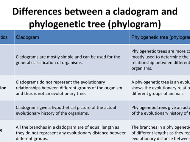 Cladogram.pptx | Biological Sciences | Science