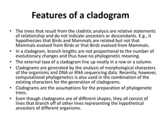 Cladogram.pptx