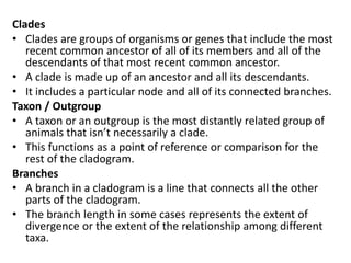 Cladogram.pptx