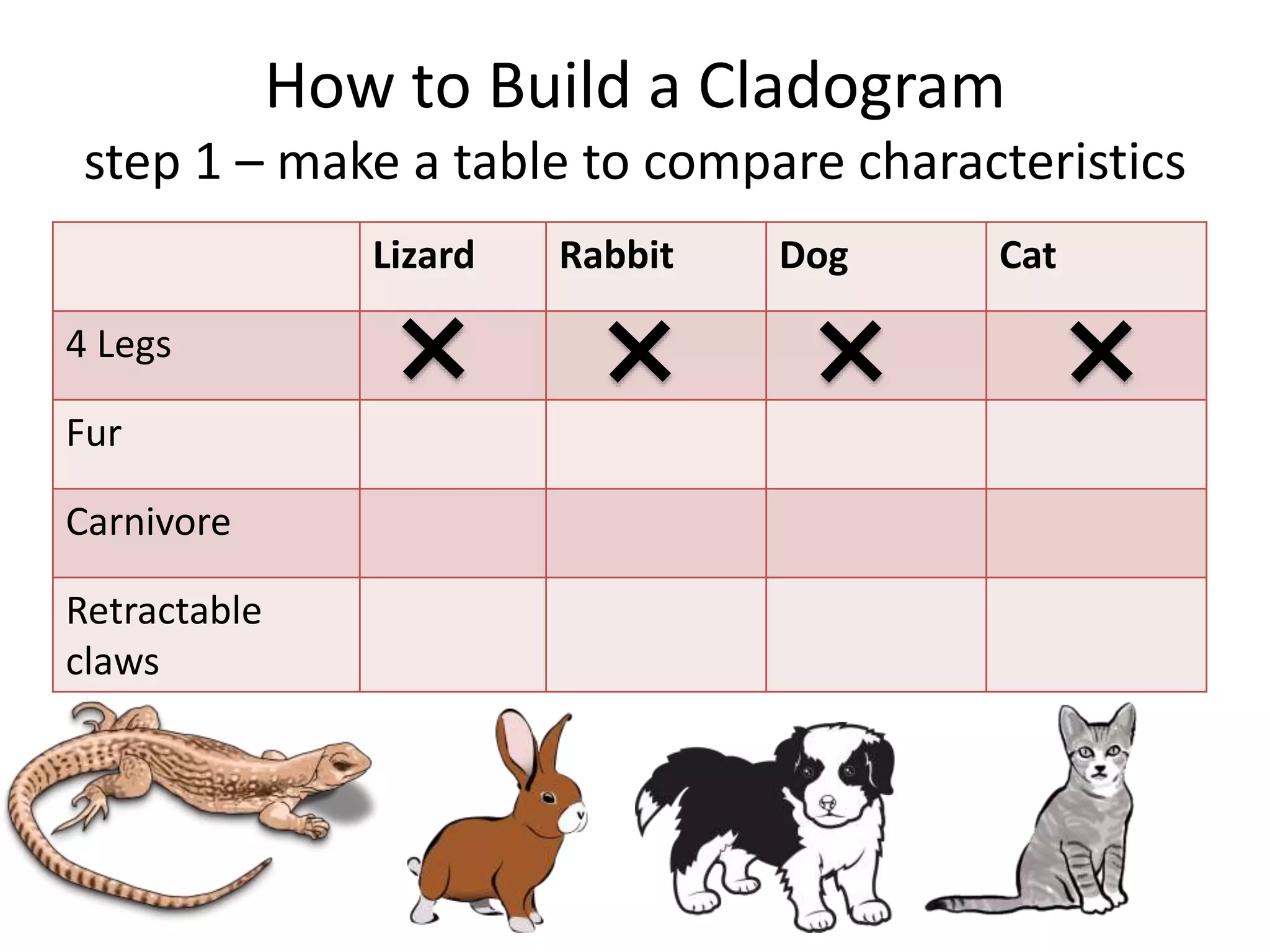 Cladograms | PPTX