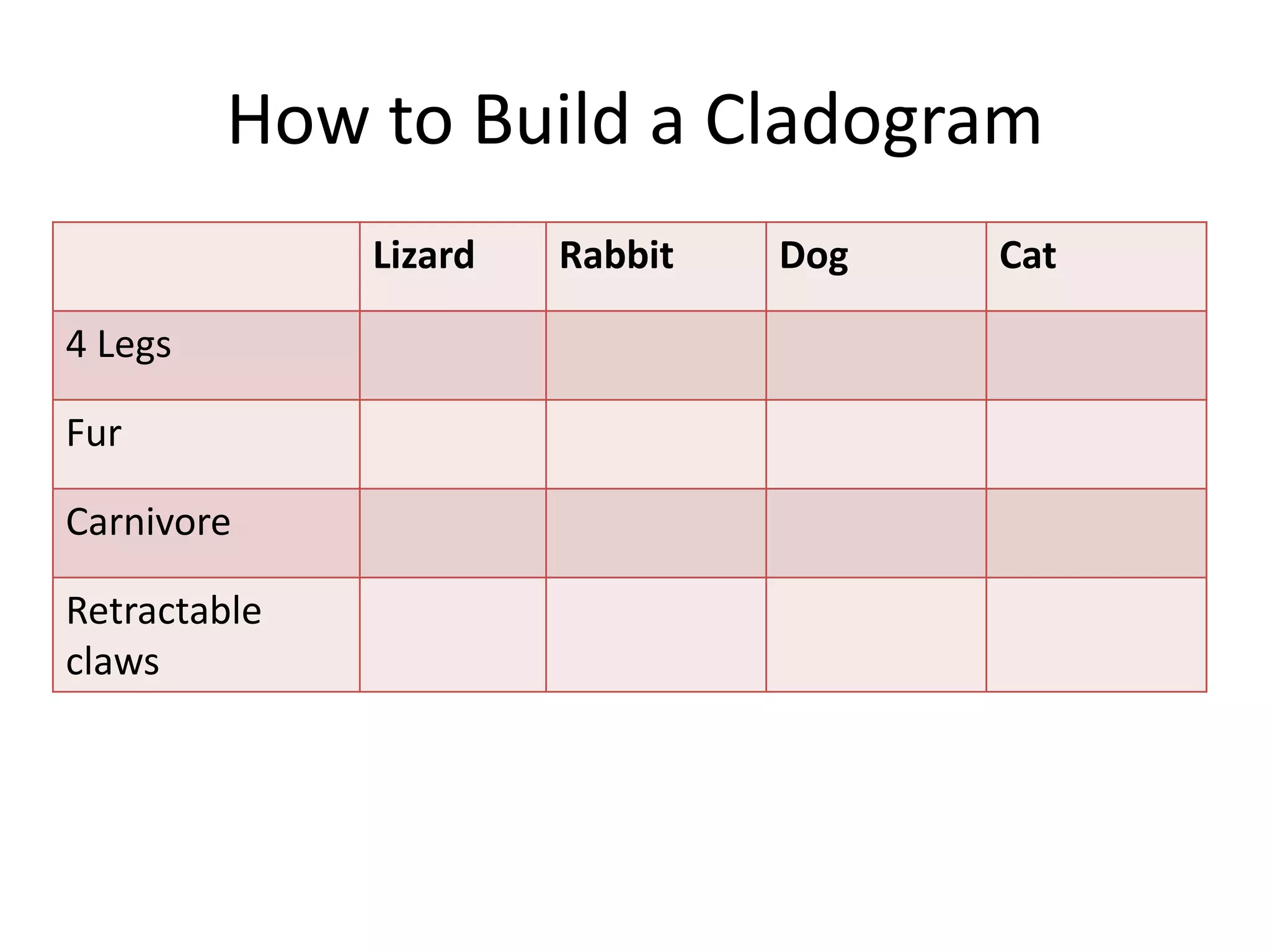 Cladograms | PPTX