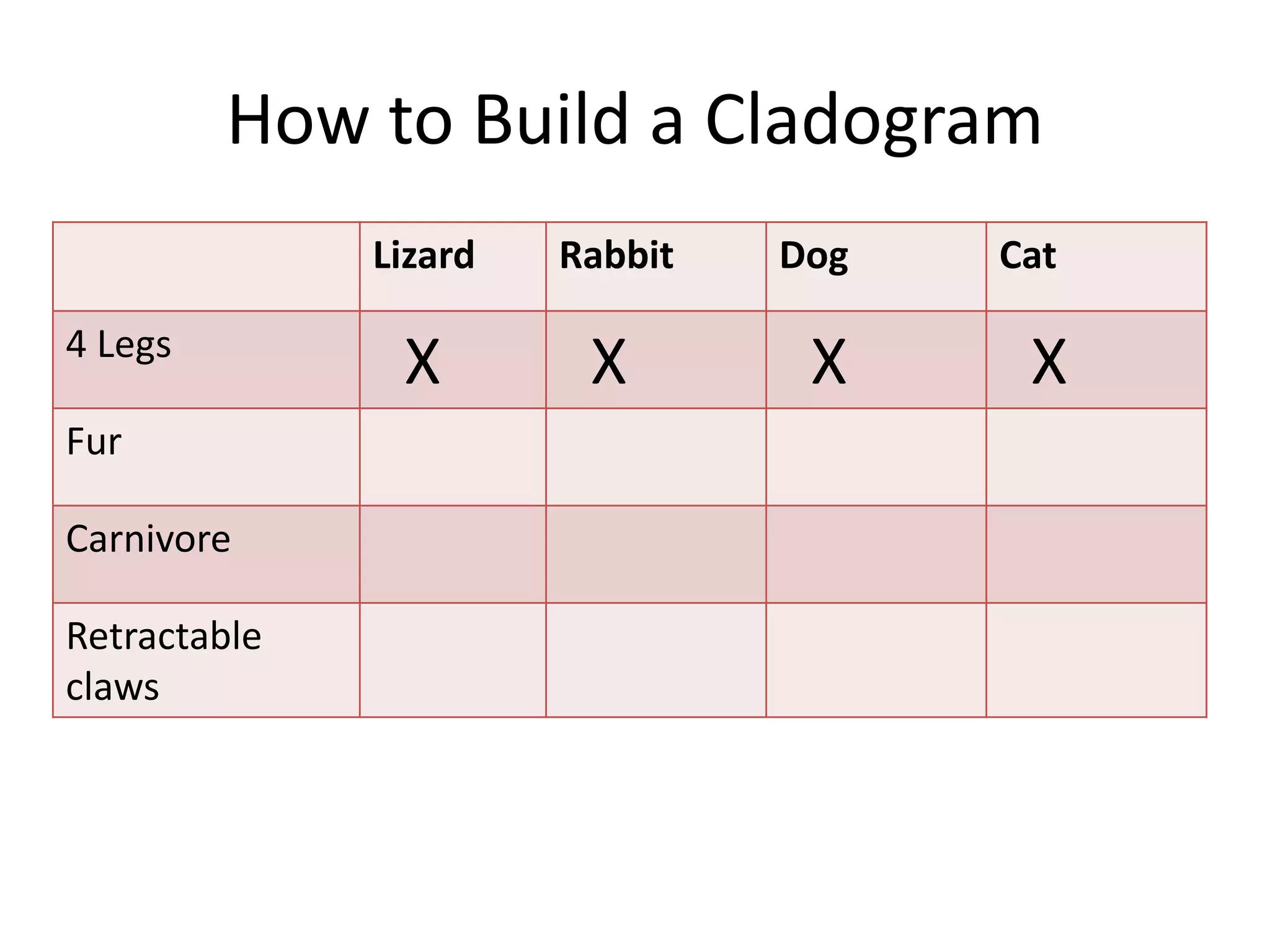 Cladograms | PPTX