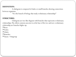 CLADOGRAM TAXONOMY................................pptx