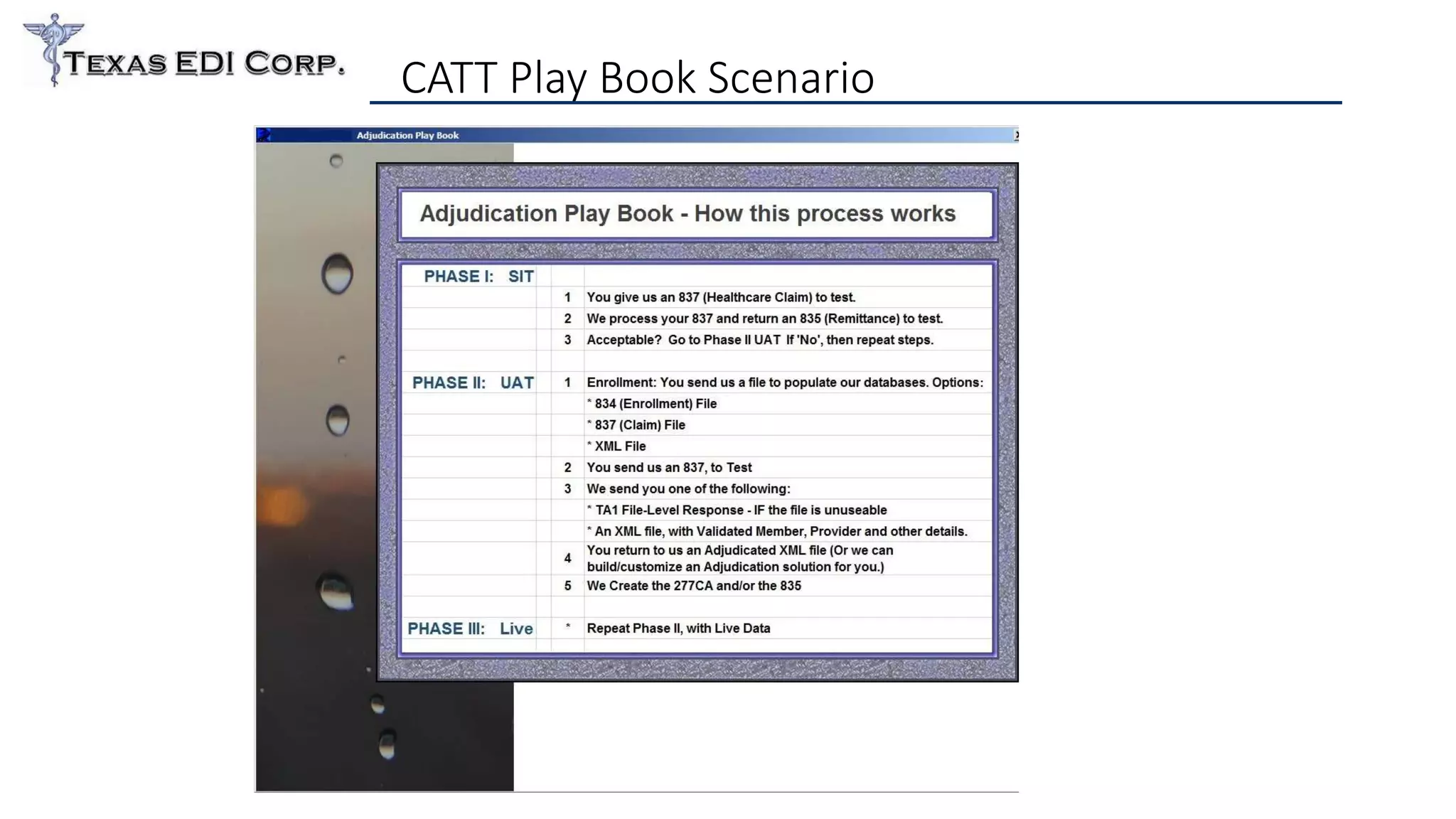 Claims adjudication system | PPSX