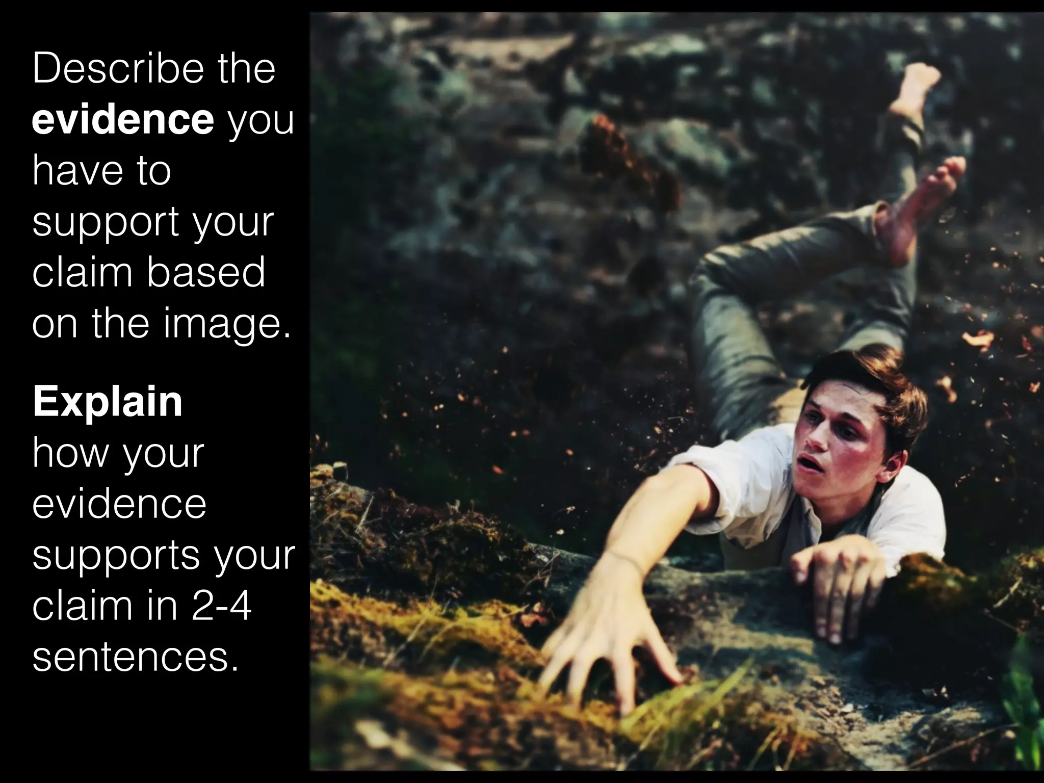 Claims, Evidence, & Explanation | PDF